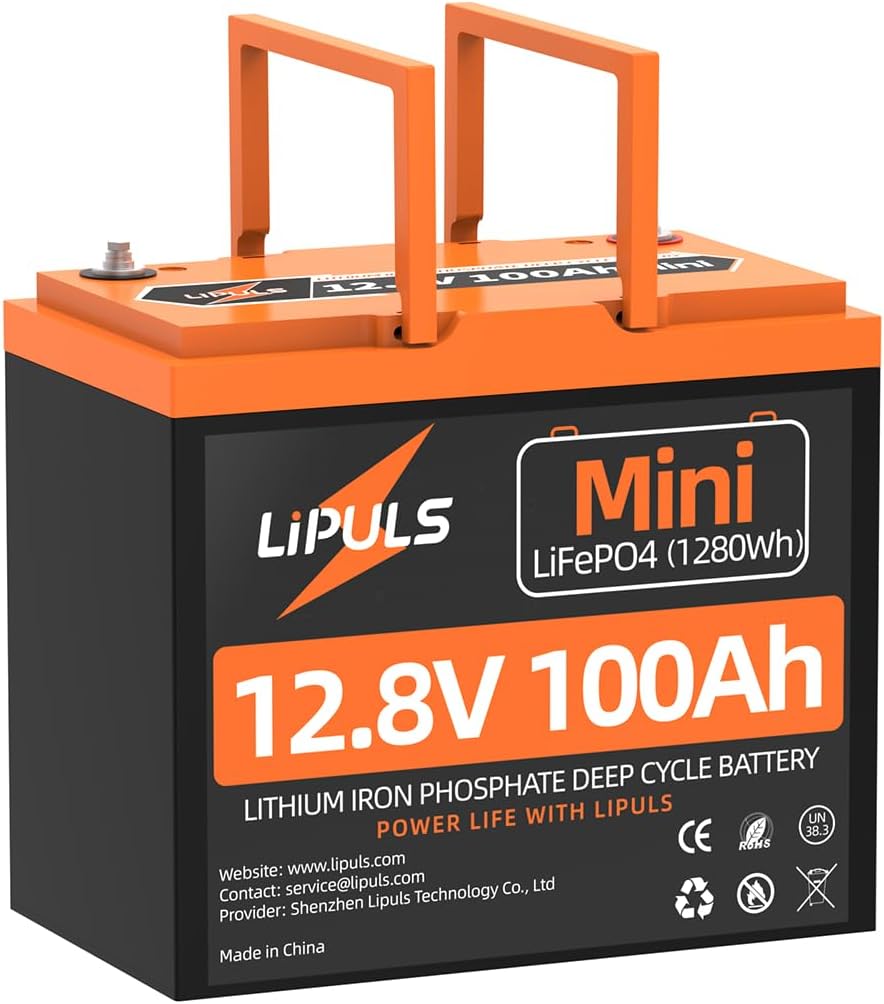 LIPULS 12V 100Ah Mini LiFePO4 Battery, 100A BMS Deep Cycle Li Battery ...